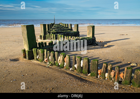 Wooden groynes on Hunstanton Beach, January Stock Photo - Alamy