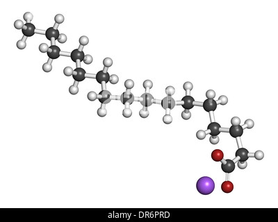 Sodium palmitate soap molecule. Prepared from palm oil by ...