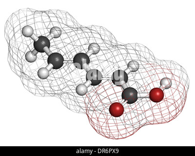 Sorbic acid food preservative molecule. Sorbate (sodium, potassium ...