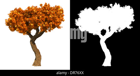 autumn tree isolated on white background, 3D illustration, cg render ...