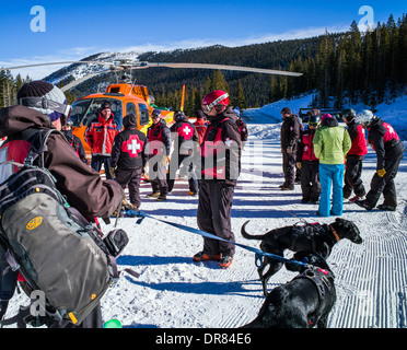 Avalanche rescue dogs training of Mountain Service in the Giant ...