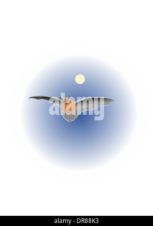 Serotine Bat in flight Stock Photo - Alamy