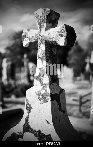 Quin Abbey - Franciscan - Quin Friary - Quin - Ennis - Co. Clare ...