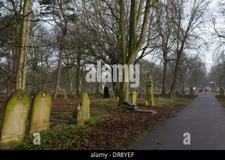 Winter in the atmospheric Linthorpe Cemetery Nature Reserve with old ...