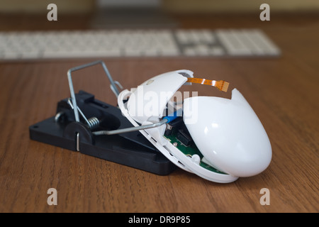 broken mouse trap on white background Stock Photo - Alamy