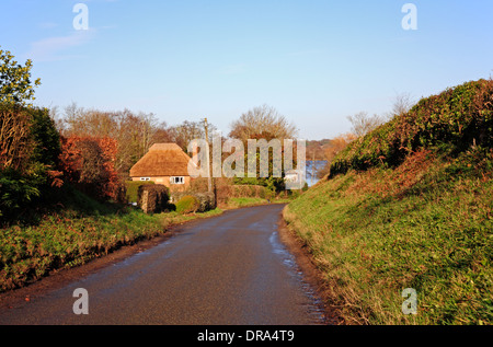 A country road leading to Malthouse Broad on the Norfolk Broads at ...