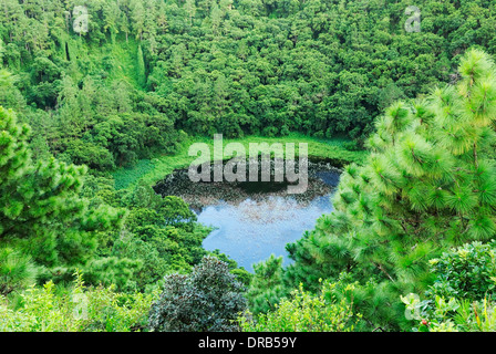 Trou aux Cerfs, Mauritius, volcano crater Stock Photo - Alamy