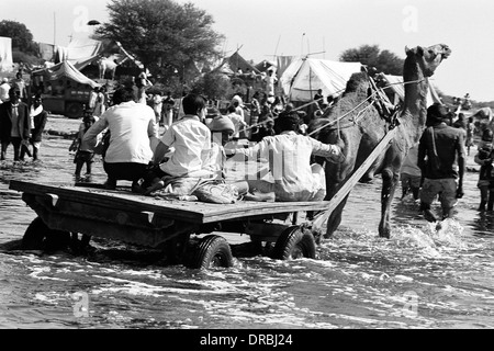 Camel cart crossing Sabarmati river Vautha fair Gujarat India Asia 1983 ...