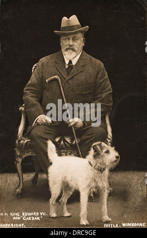 King Edward VII - with Dog Stock Photo - Alamy