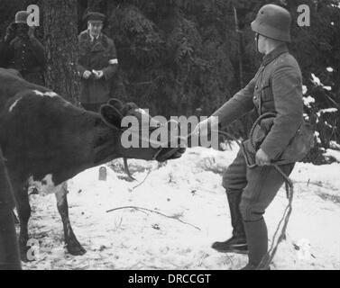 Mannerheim line WWII Stock Photo - Alamy