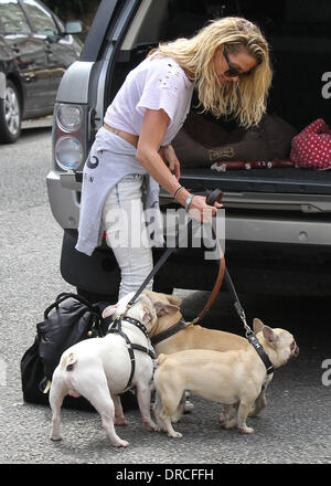 Sarah Harding packs the back of her car while out walking her dogs in ...