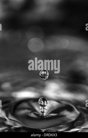 rebound of a water drop Stock Photo - Alamy