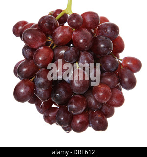 Fine ripe grapes. All on white background Stock Photo - Alamy