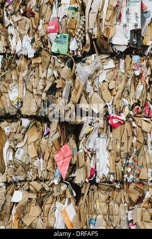 Washington state USA Recycling facility bundles cardboard sorted Stock ...