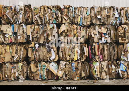 Washington state USA Recycling facility bundles cardboard sorted Stock ...