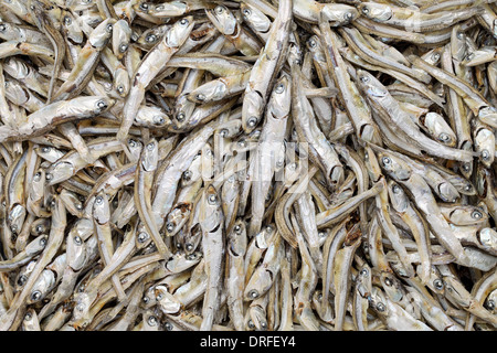 Small silver dried fish Stock Photo - Alamy