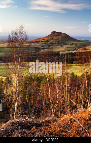 A path to the summit of Roseberry Topping, a hill in the North York ...