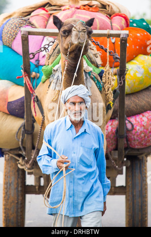 Indian man riding a camel pulling a cart with a group of young women on ...