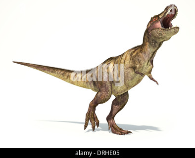 Tyrannosaurus Rex dinosaur, full body photo-realistic representation ...