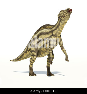 Maiasaura dinosaur, young child, full body photorealistic ...