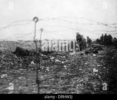 British soldiers digging a trench, Western Front, WW1 Stock Photo - Alamy