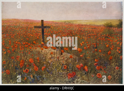 In Flanders Fields ... The poignant scene of a field full of poppies ...