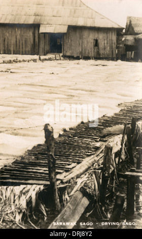 Sago Industry of Sarawak Stock Photo - Alamy