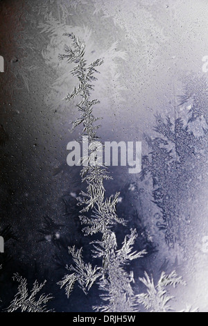 Close-up shot of some icy-flowers on a window Stock Photo - Alamy