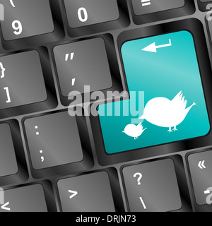 Button keyboard key, keypad with bird family closeup Stock Photo - Alamy
