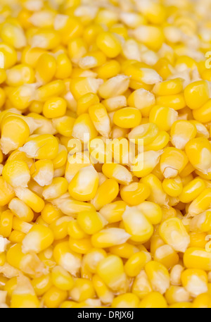 Sweet soft yellow natural corn for cooking Stock Photo - Alamy