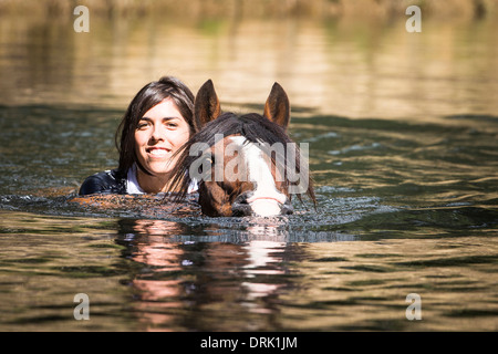 Kaimanawa Horse. Kelly Wilson with a bay gelding. New Zealand Stock ...