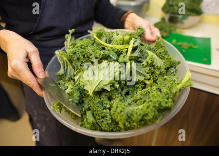Fields of kale at Broadward Hall farm, Herefordshire, England, UK Stock ...
