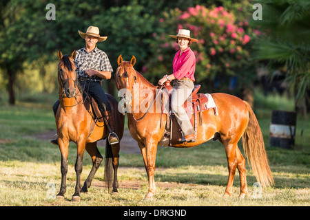 Boerperd, Boer Pony. Rider on stallion standing in savanna during ...