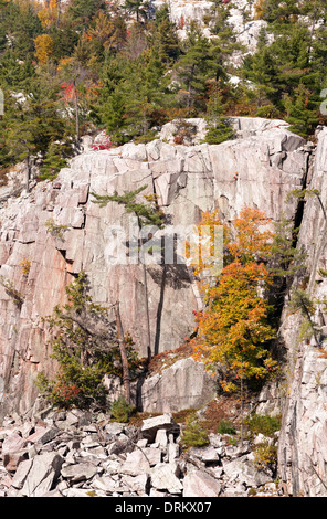 White quartzite rock of the La Cloche Hills at O.S.A. Lake Killarney ...