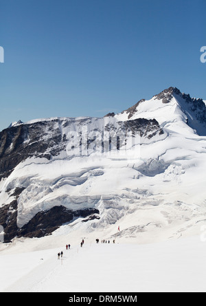 Switzerland, Bernese Oberland, Aletsch Glacier, Monch hut at the ...