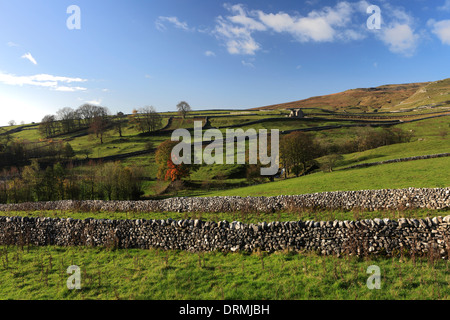 Autumn colours over Malhamdale, Yorkshire Dales National Park, England ...