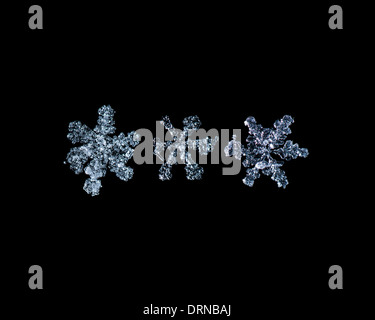 snowflakes macro close up christmas background Stock Photo - Alamy