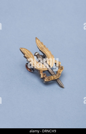 SAS cap badge Stock Photo: 66239129 - Alamy