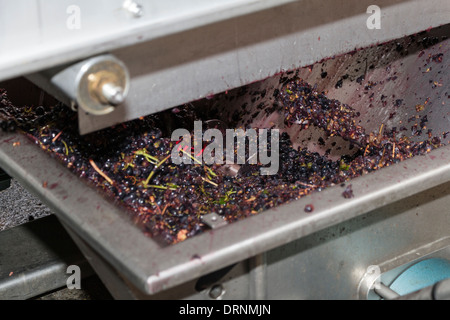 Grape destemming machine, Chateau de la Selve, Grospierres, Ardeche ...