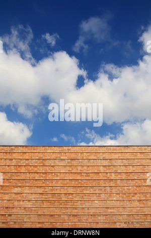 A sky blue brick wall with a textured finish, showcasing the smooth ...