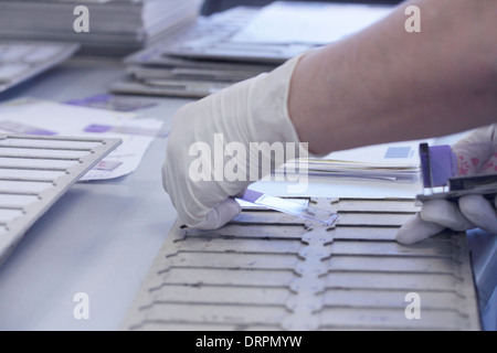 glass slides with histology samples in a histology labor Stock Photo ...