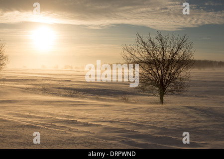 Persistent wind and blowing snow create a ground blizzard in rural ...