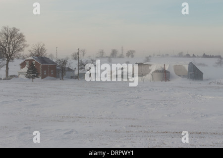 Wind whipped blown snow envelops a farm during a ground blizzard during ...
