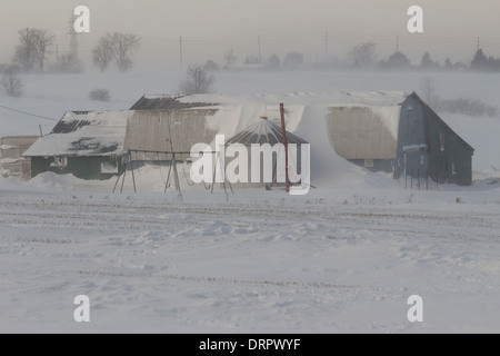 Wind whipped blown snow envelops a farm during a ground blizzard during ...