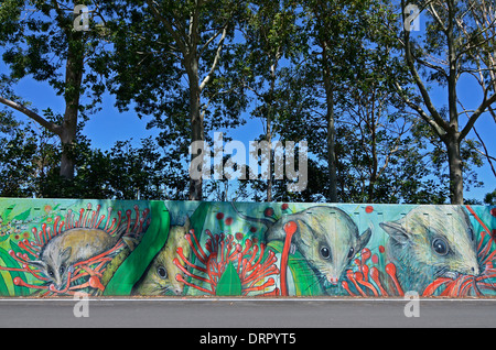 animal and bird mural on concrete flood protection wall in murwillumbah ...
