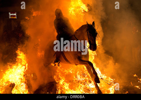 San Bartolome De Pinares, Spain. 16th Jan, 2024. A rider and horse go ...