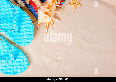 Shells on fine sand Stock Photo - Alamy