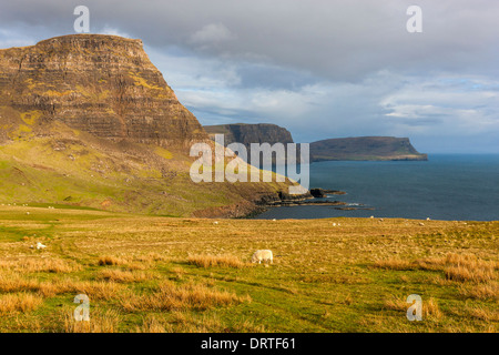 A view towards Waterstein Head and Ramasaig Cliffs, Moonen Bay, Isle of ...