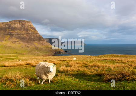 A view towards Waterstein Head and Ramasaig Cliffs, Moonen Bay, Isle of ...