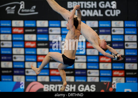 Matty Lee in the Mens 10m preliminary round during the British Diving ...